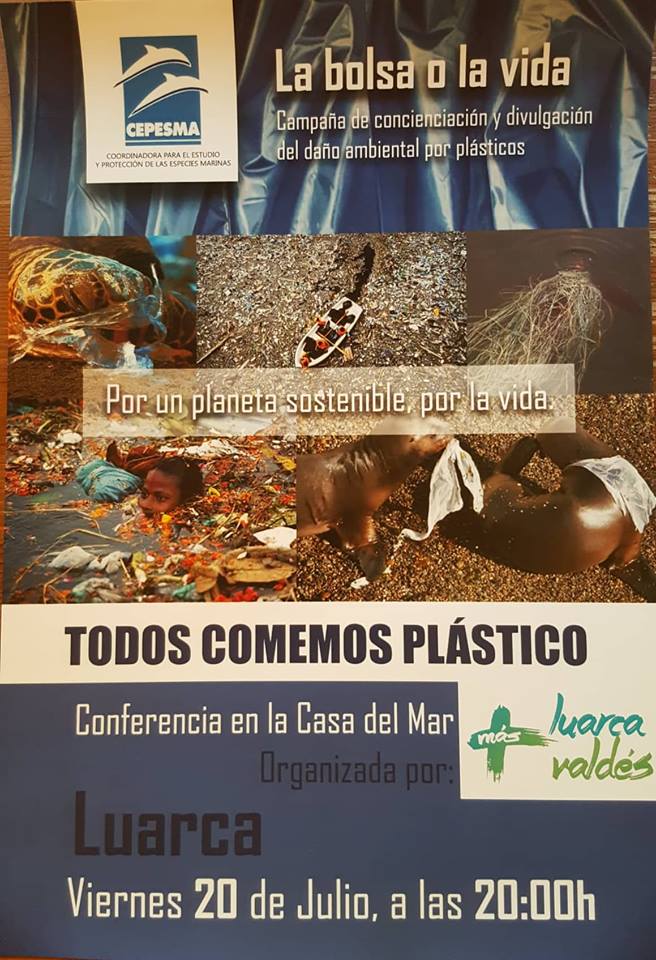 Campaña de concienciación del daño ambiental por plásticos. – Mas ...